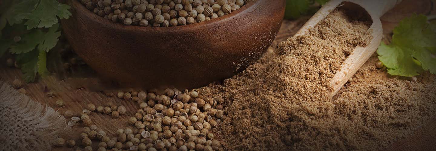 Home - RASHI SPICES