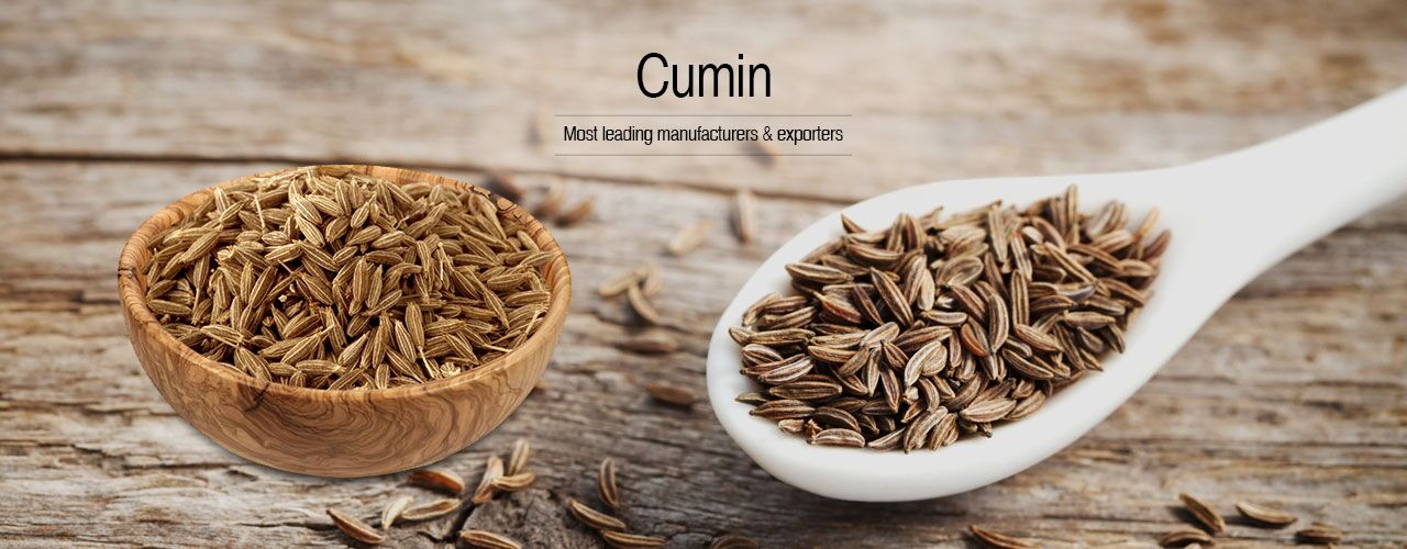 Home - RASHI SPICES